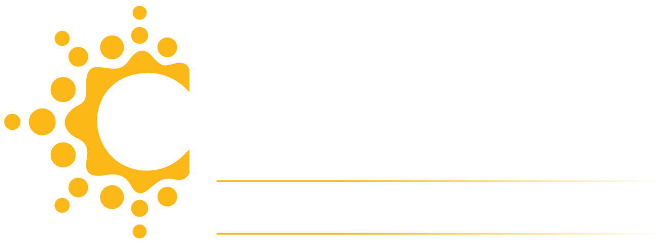 Ray Z Logo